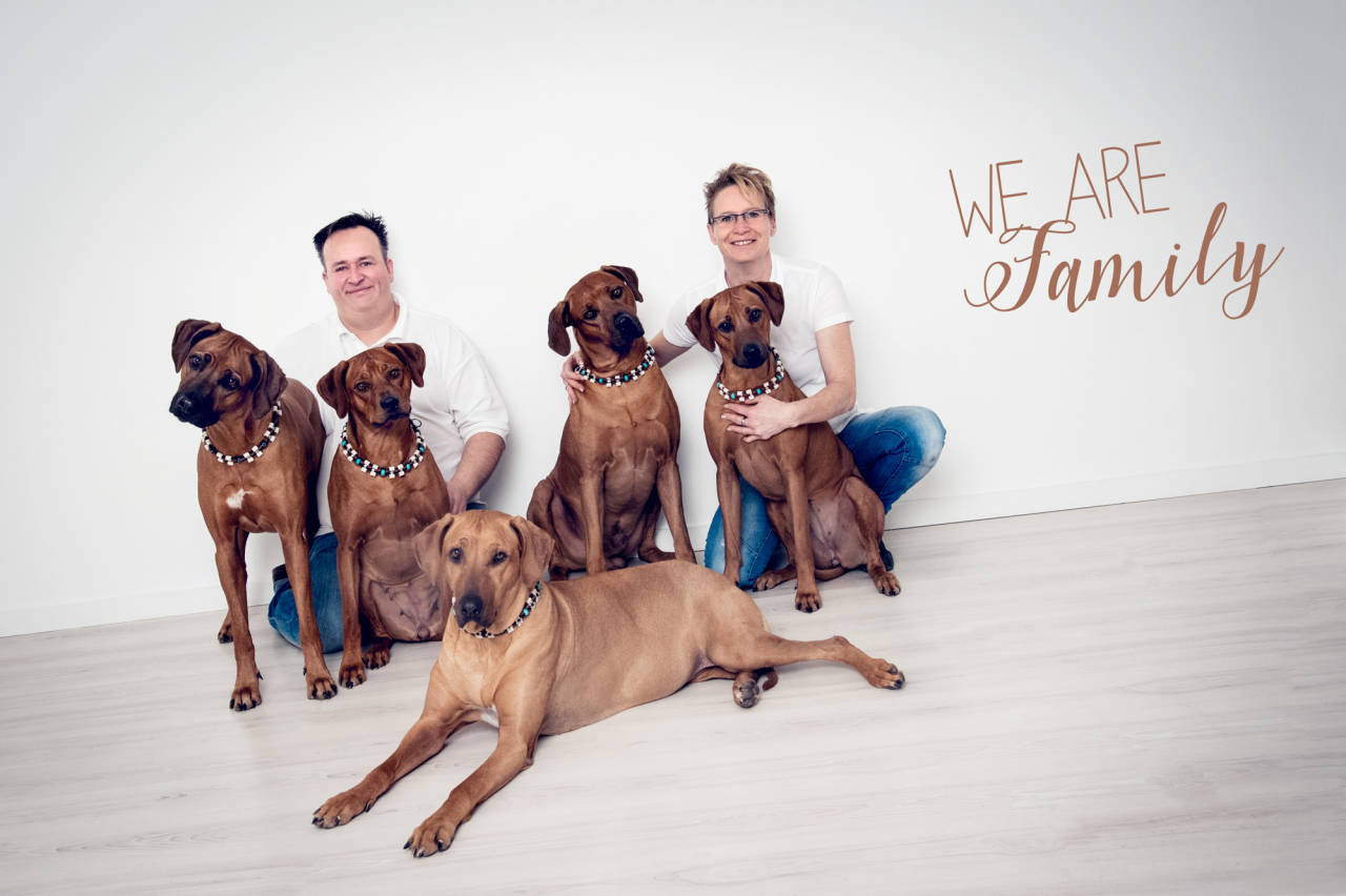 MASHAMBANI RHODESIAN RIDGEBACKS - Der Dermoid Sinus